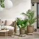 OLIVBLAD plantevogn, inne/ute/offwhite, 32 cm - IKEA