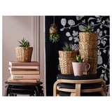 FRIDFULL plant pot, water hyacinth, 12 cm - IKEA