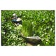 FRIDFULL plant pot, water hyacinth, 12 cm - IKEA