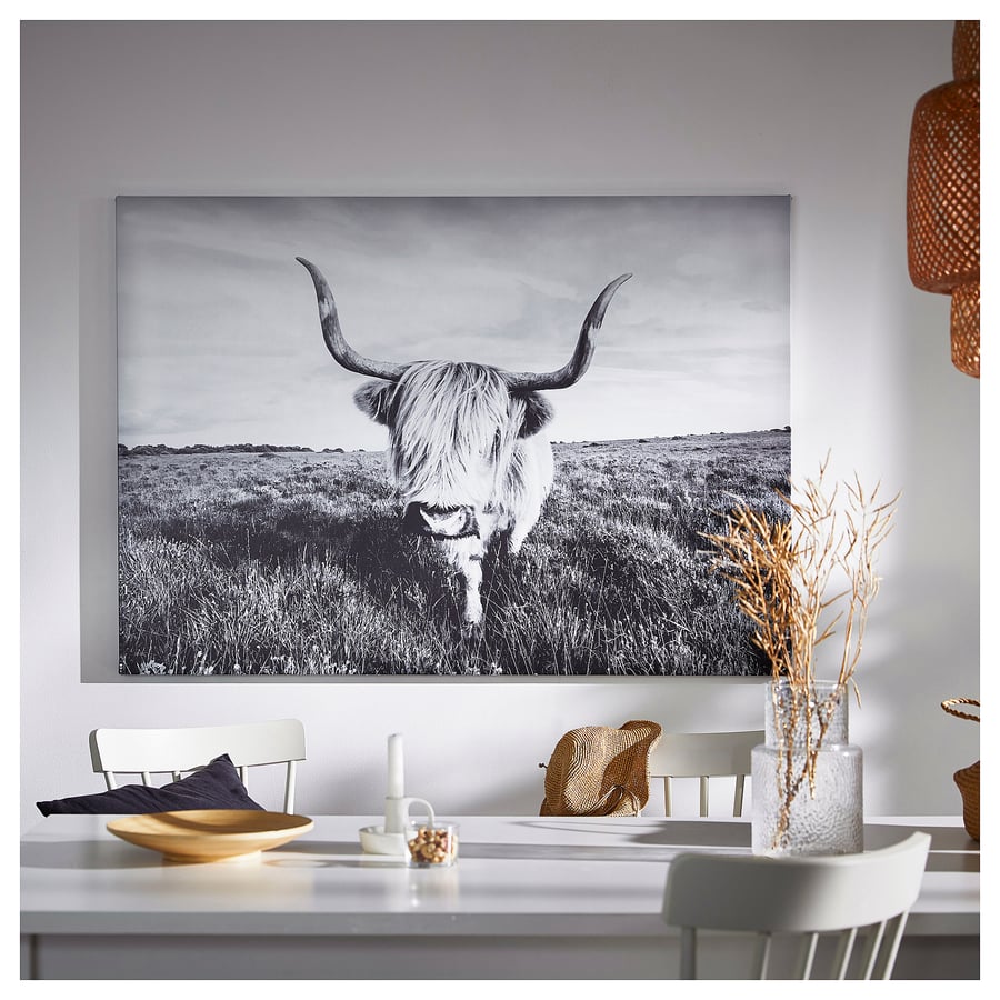 BJÖRKSTA picture, curious cow, 140x100 cm - IKEA