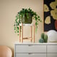 SATSUMAS plant stand, bamboo/white, 36 cm - IKEA