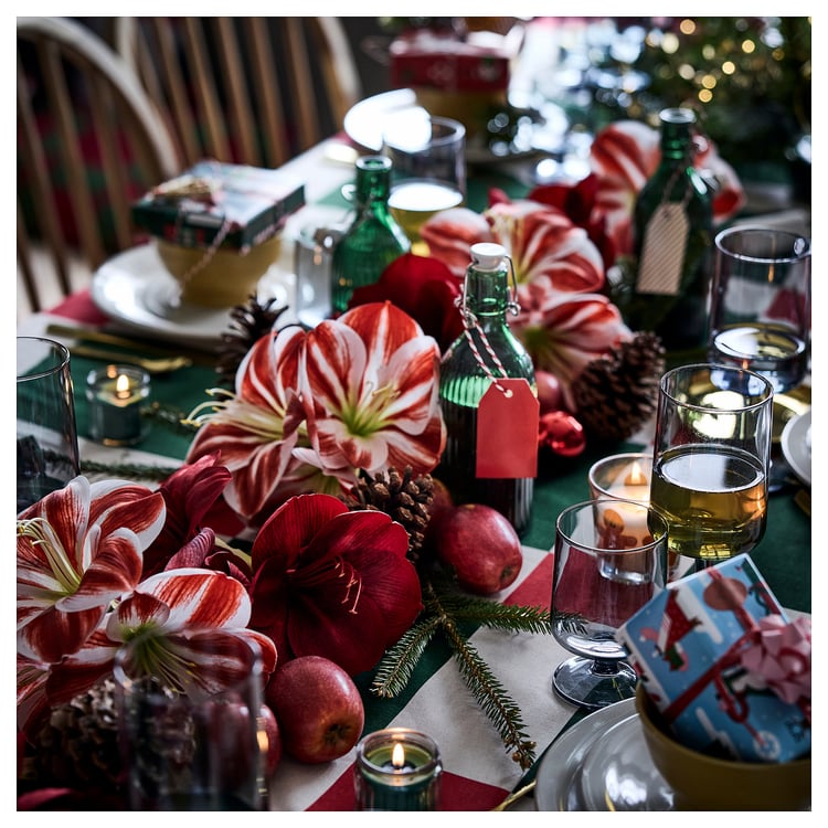 VINTERFINT artificial flower, in/outdoor Amaryllis/red white, 60 cm - IKEA