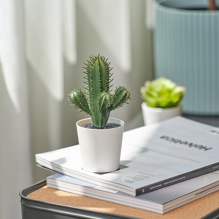 FEJKA planta artificial em vaso, interior/exterior cato, 6 cm - IKEA