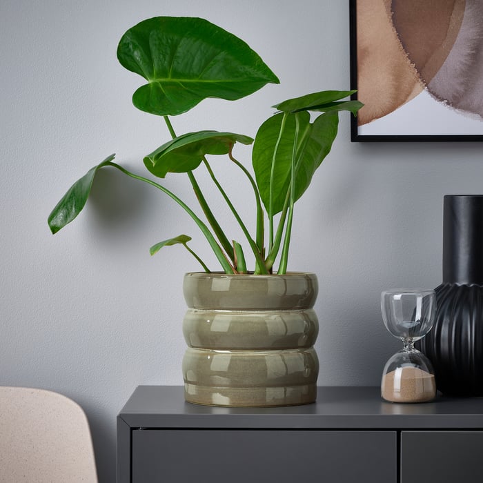 HASSELBUKETT vaso, interior/exterior/verde/castanho, 15 cm - IKEA