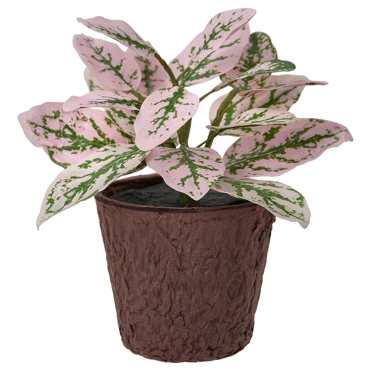 SMÅTÄRNA planta artificial em vaso, papel/Fittonia, 6 cm - IKEA