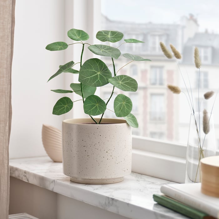 SMÅTÄRNA planta artificial em vaso, papel/Stephania, 12 cm - IKEA