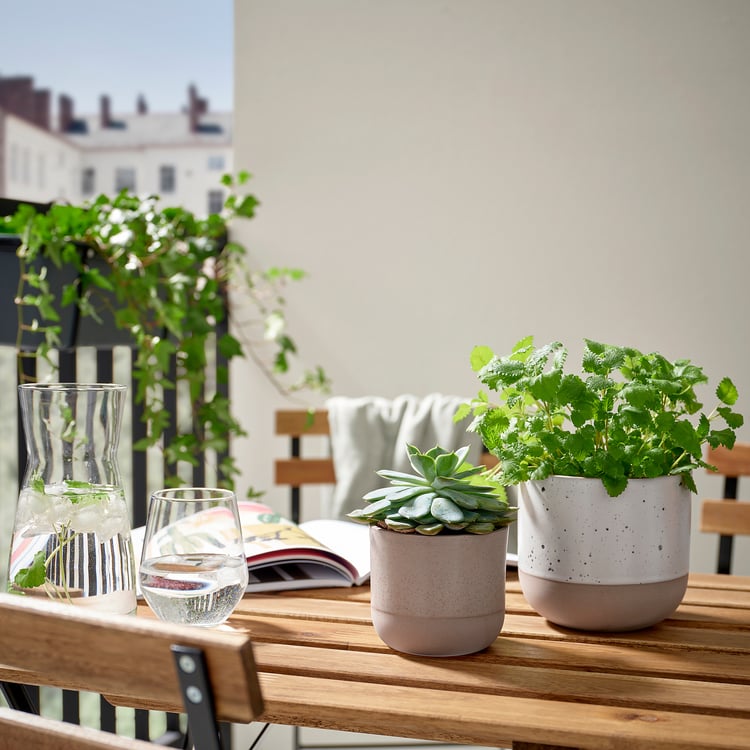 BUSKKAPRIFOL ghiveci, interior/exterior/gri, 9 cm - IKEA