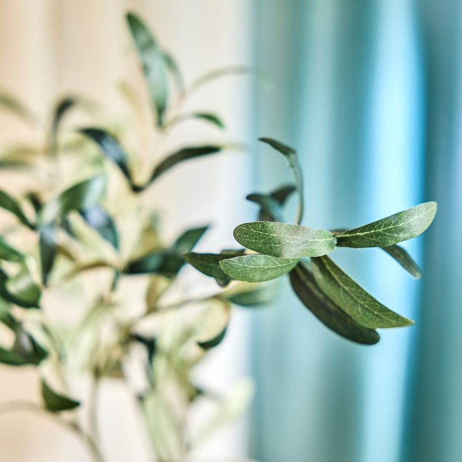 SMYCKA floare artificială, interior/exterior/ramură de măslin, 75 cm - IKEA