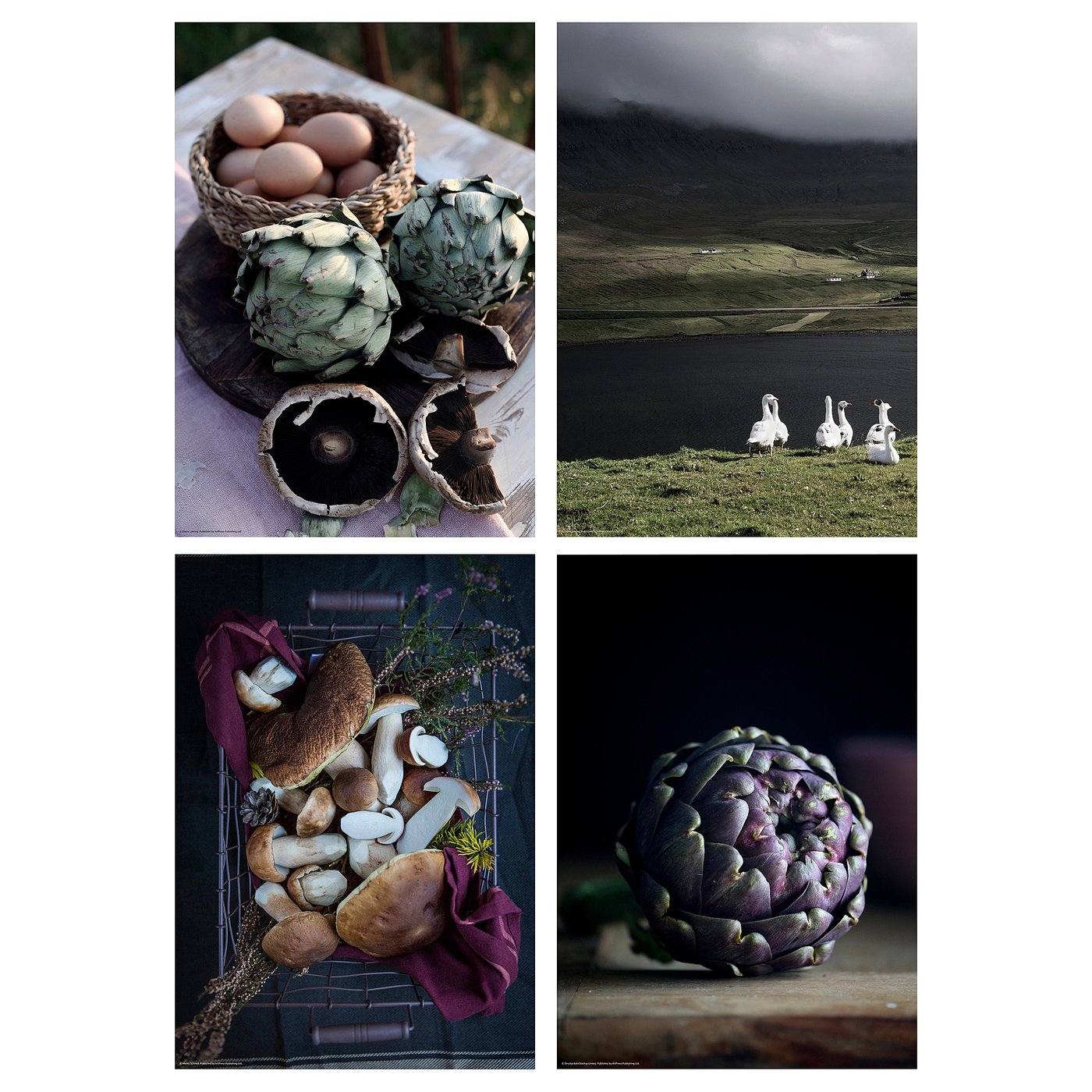 BILD Poster, Na selu, 21x30 cm | MONTIKEA