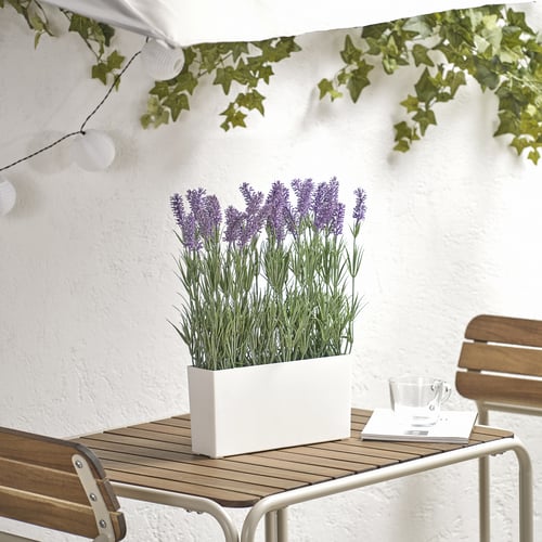 اشتر FEJKA نبات صناعي مع آنية, داخلي/خارجي خُزَامَى - IKEA