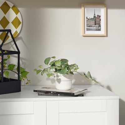 Artificial desk plants - IKEA