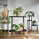 OLIVBLAD plant stand, in/outdoor black, 56 cm - IKEA