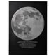 Buy PJÄTTERYD Picture moonlight 50x70cm online - IKEA
