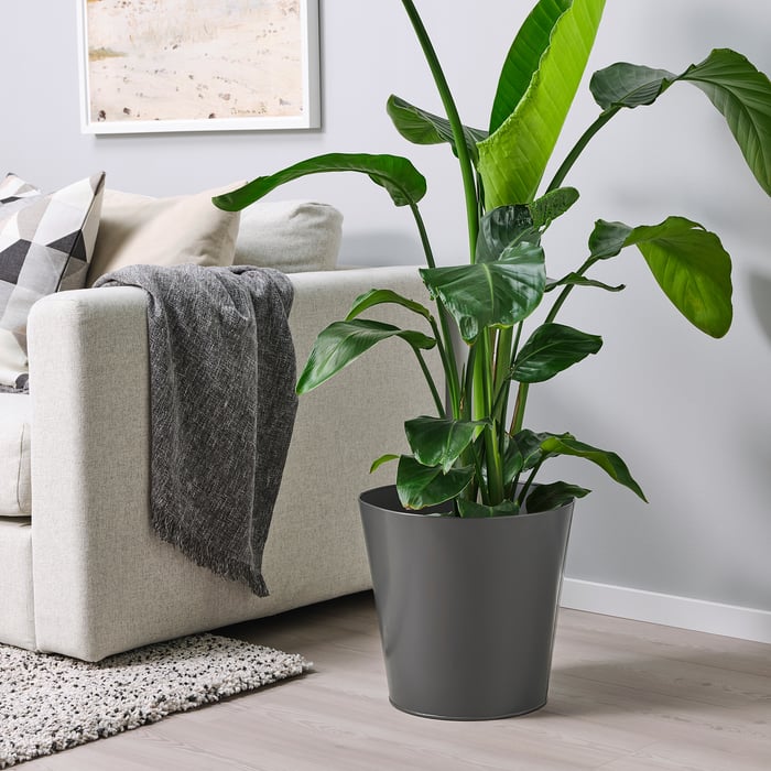 Krukor & amplar att ha inomhus - IKEA