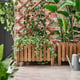 ASKHOLMEN flower box w trellis, outdoor, dark brown - IKEA