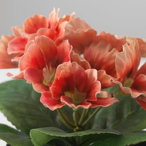 FEJKA artificial potted plant, in/outdoor/primula orange, 9 cm - IKEA