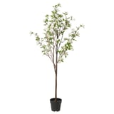 Artificial Floor Plants - Faux Trees - IKEA