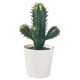 FEJKA artificial potted plant, indoor/outdoor cactus, 2 ¼" - IKEA
