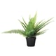 FEJKA artificial potted plant, indoor/outdoor fern, 3 ½" - IKEA
