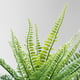 FEJKA artificial potted plant, indoor/outdoor fern, 3 ½" - IKEA