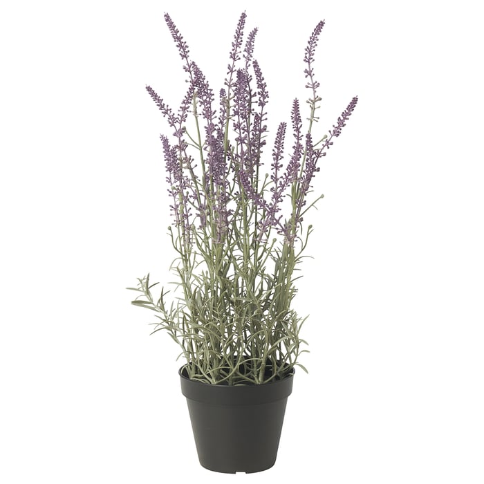 Faux Desk Plants - Artificial Plants for Desk - IKEA
