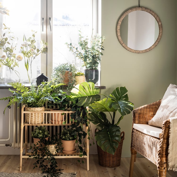 FEJKA Artificial potted plant, indoor/outdoor monstera - IKEA