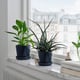 KLOTLÖNN plant pot with saucer, indoor/outdoor/black-blue, 3 ½" - IKEA