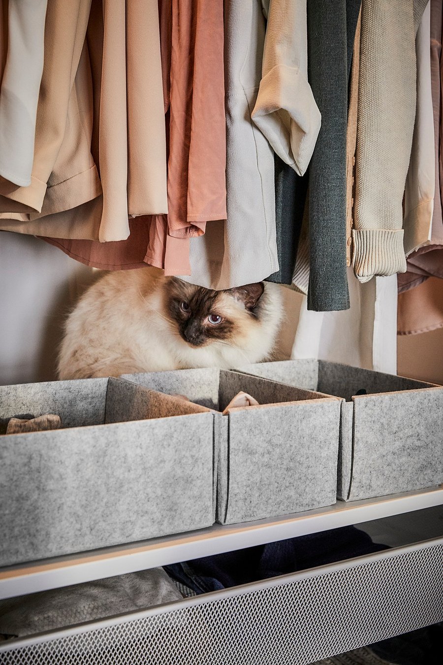 KOMPLEMENT Box, light gray, 6x10 ½x4 ¾" - IKEA