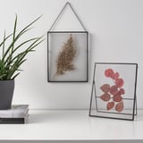 Picture Frames - Photo Frames for All Sizes - IKEA
