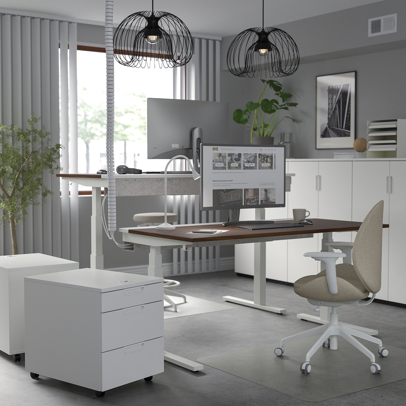 MITTZON Desk sit stand electric walnut veneer white 63x31 1 2
