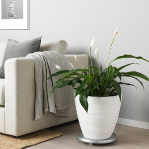 Rattan products - IKEA
