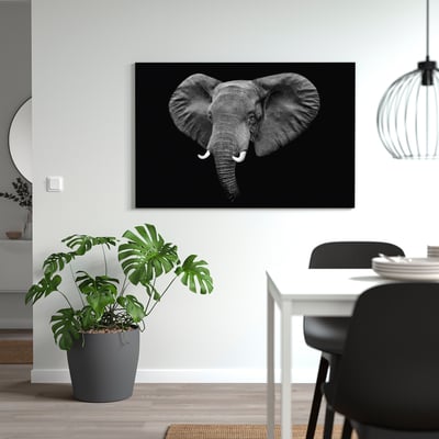 PJÄTTERYD Canvas Artwork - IKEA