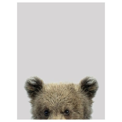 PJÄTTERYD Canvas Artwork - IKEA