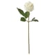 SMYCKA artificial flower, indoor/outdoor/Rose white, 15 ¾" - IKEA