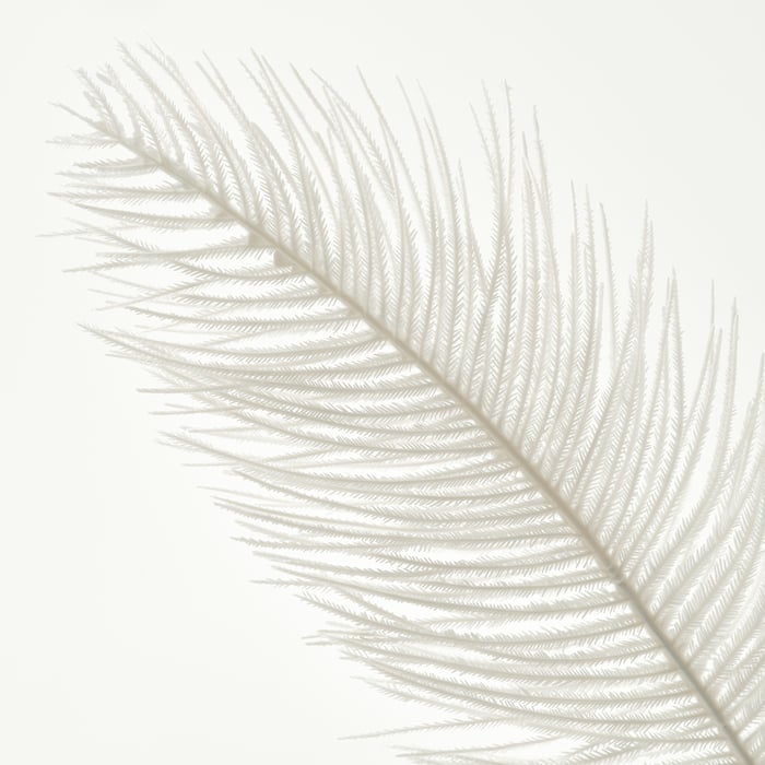SMYCKA artificial spray, indoor/outdoor/beige, 25 ½" - IKEA