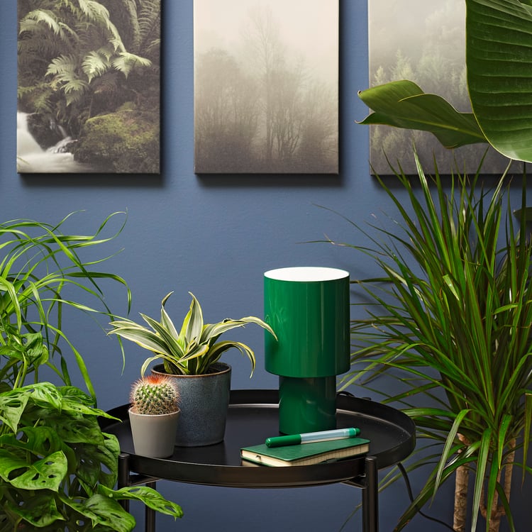 HIMALAYAMIX planta en maceta, varias plantas plantas+follaje, 4" - IKEA